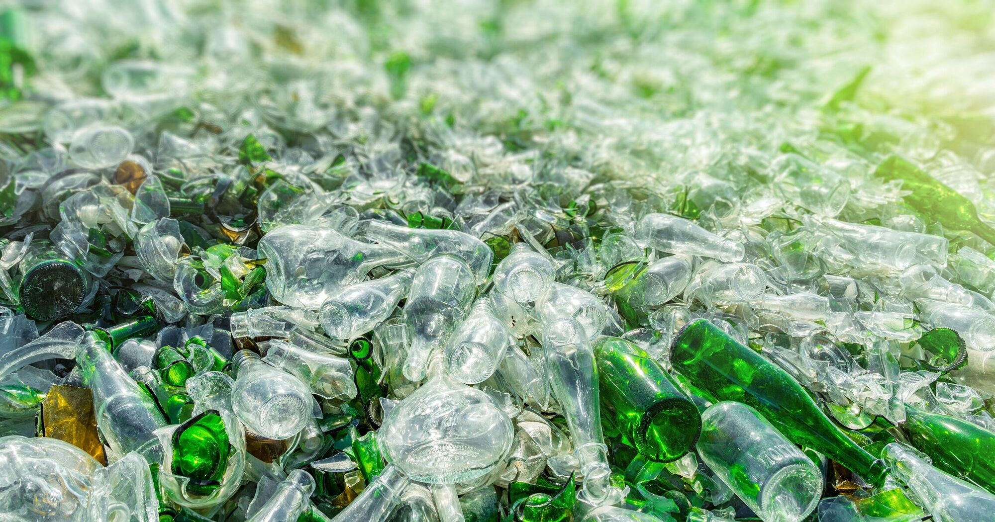 Die Glastonne oder auch Glaskörbe: Was darf rein und was nicht?